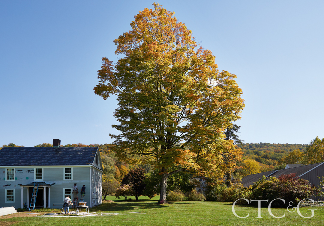 Destination: Kent - Cottages & Gardens