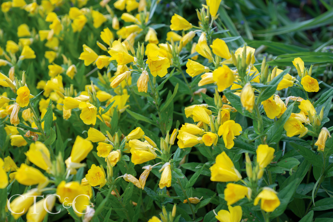 Tour Interior Designer Philip Gorrivan's Bucolic Litchfield County ...