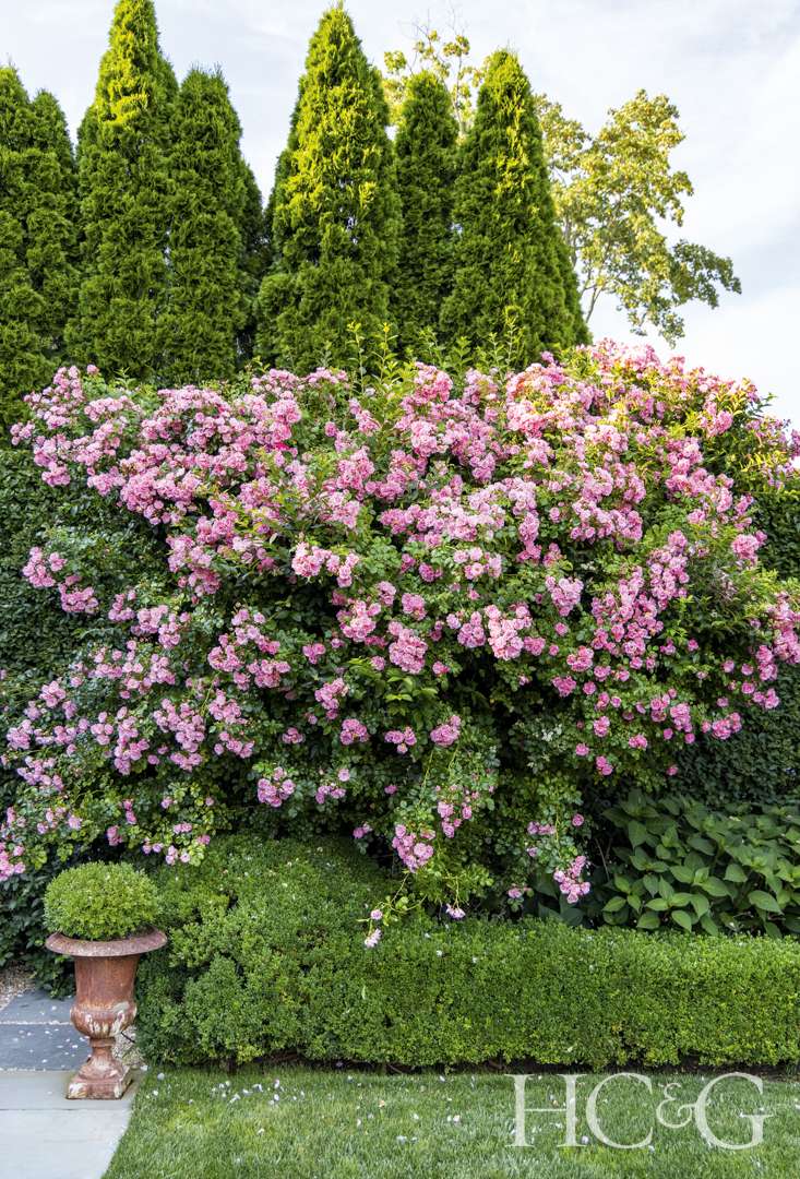 Peek Into Some of the East End's Most Gorgeous Gardens - Cottages & Gardens