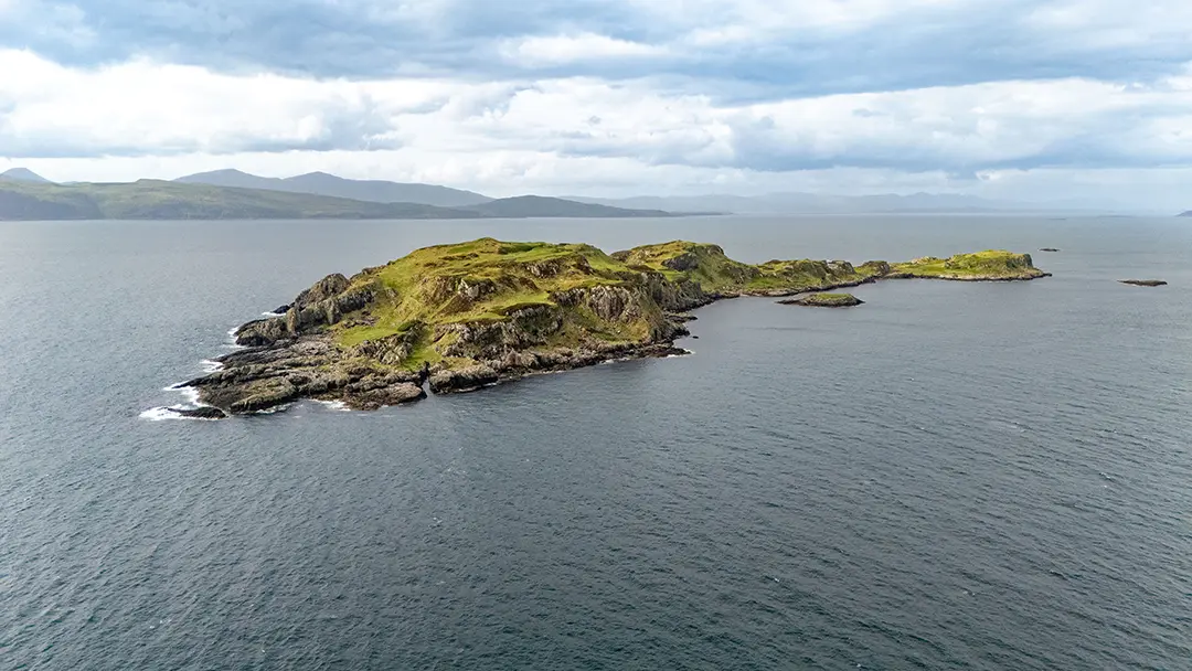 Tour a $15.5M Sonoma Stunner That Channels Pantone’s 2025 Color of the ...