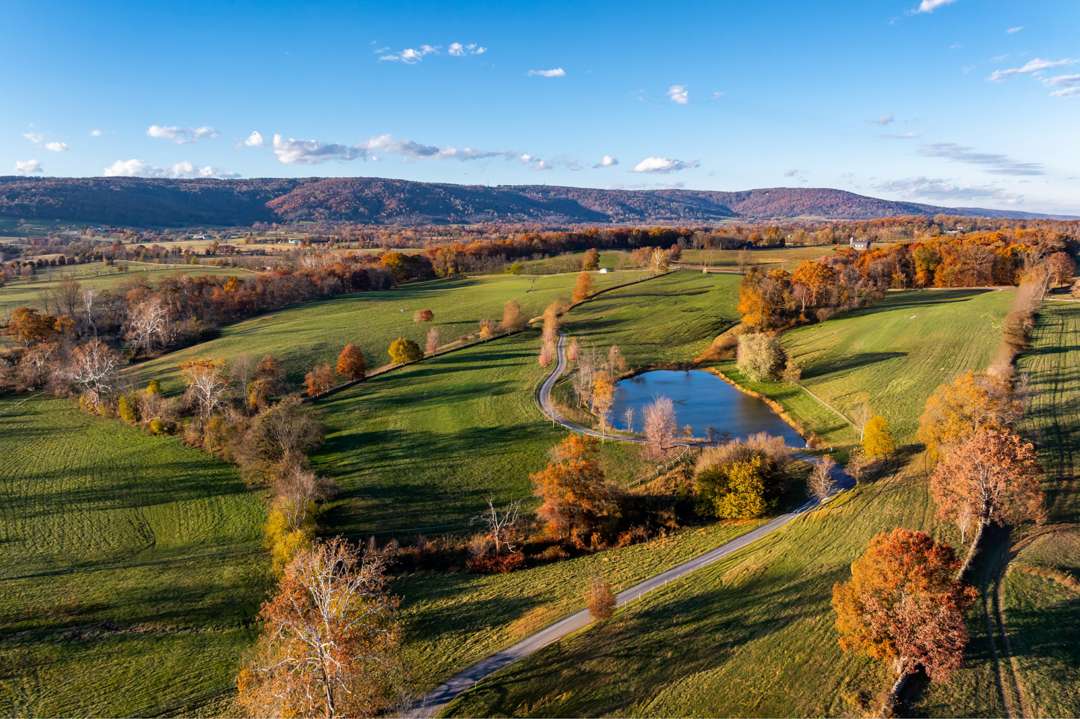 Cisco Co-Founder Sandy Lerner Aims to Sell Her Beautiful Longtime ...