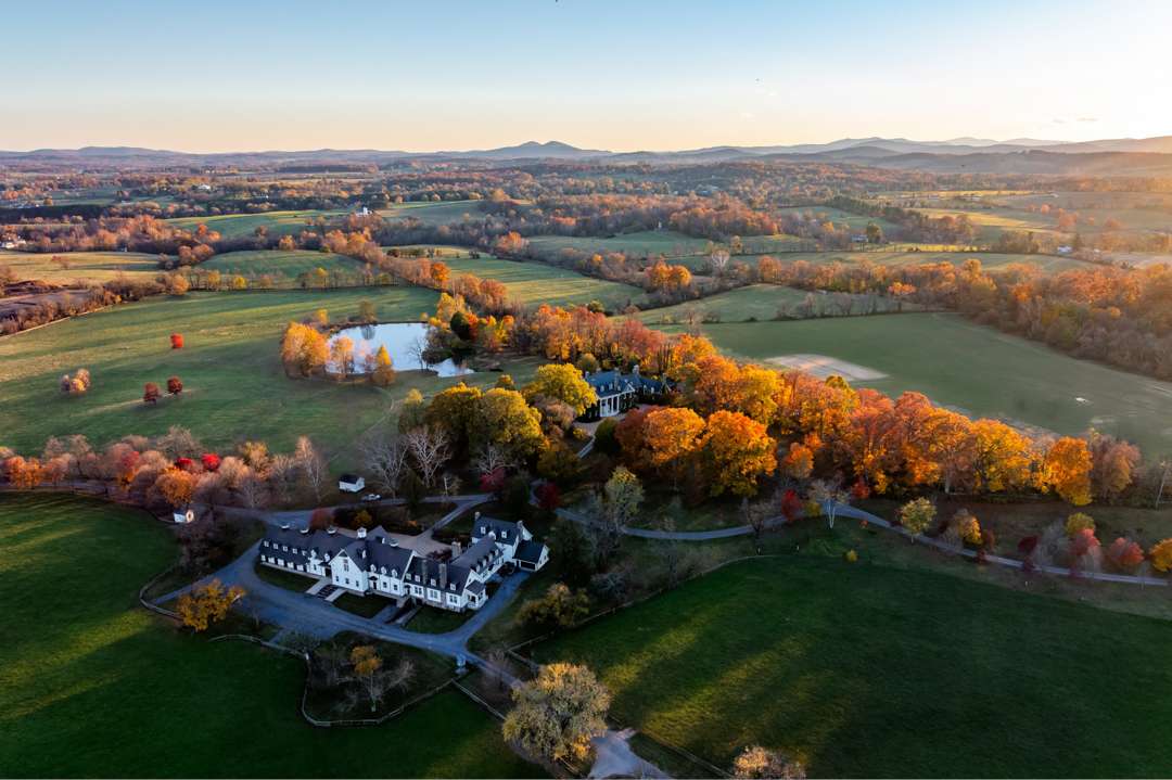 Cisco Co-Founder Sandy Lerner Aims to Sell Her Beautiful Longtime ...