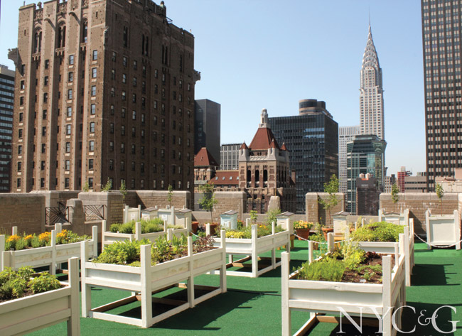 David Garcelon, Culinary Director at the Waldorf Astoria Tells NYC&G ...