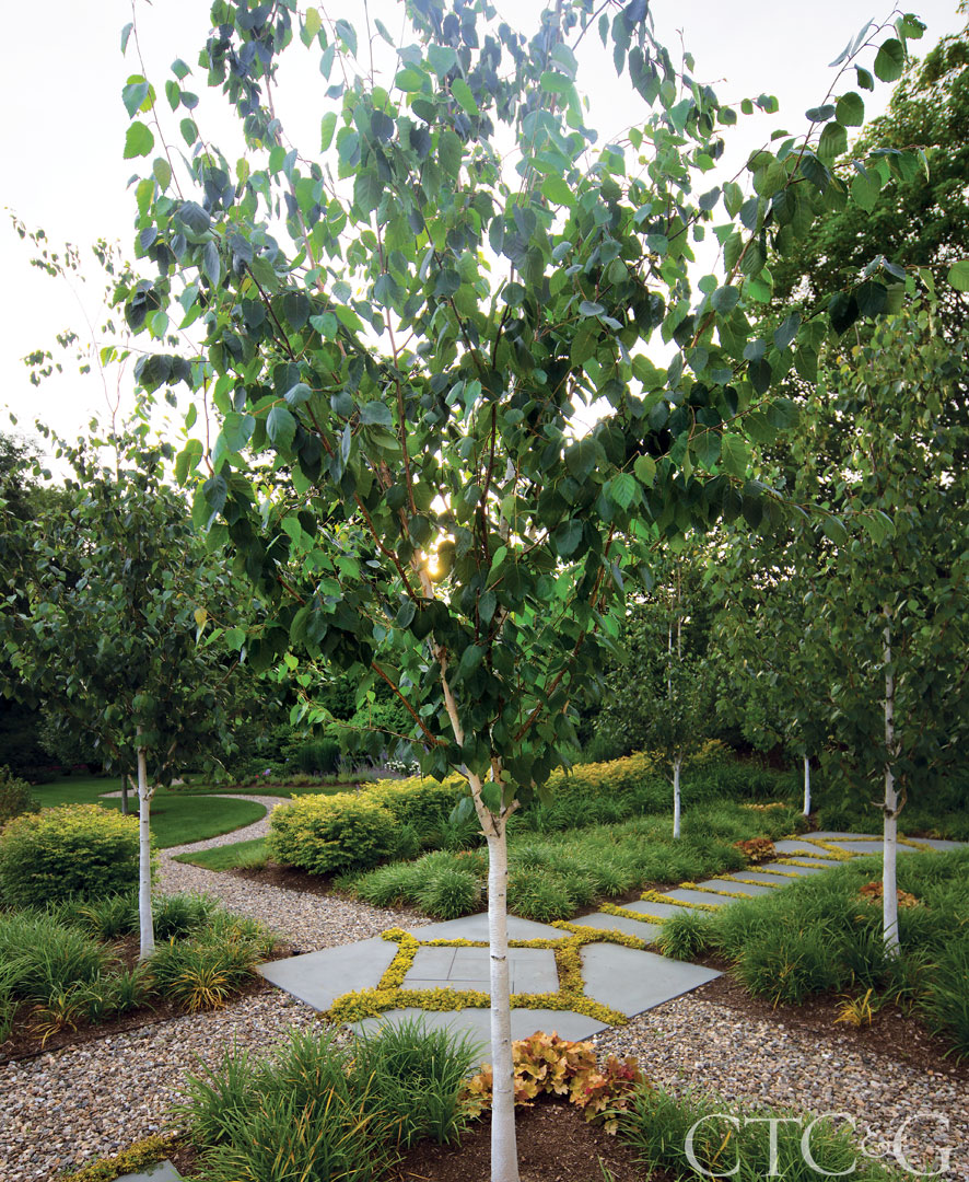 Tour the Grounds of Architect Paulo Vicente's Shingle-Style Home ...