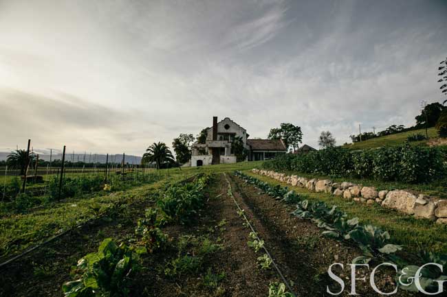 Scribe Winery Marks its Seventh Year with Three New Vintages - Cottages ...